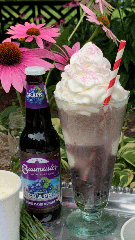 Grape Soda Float